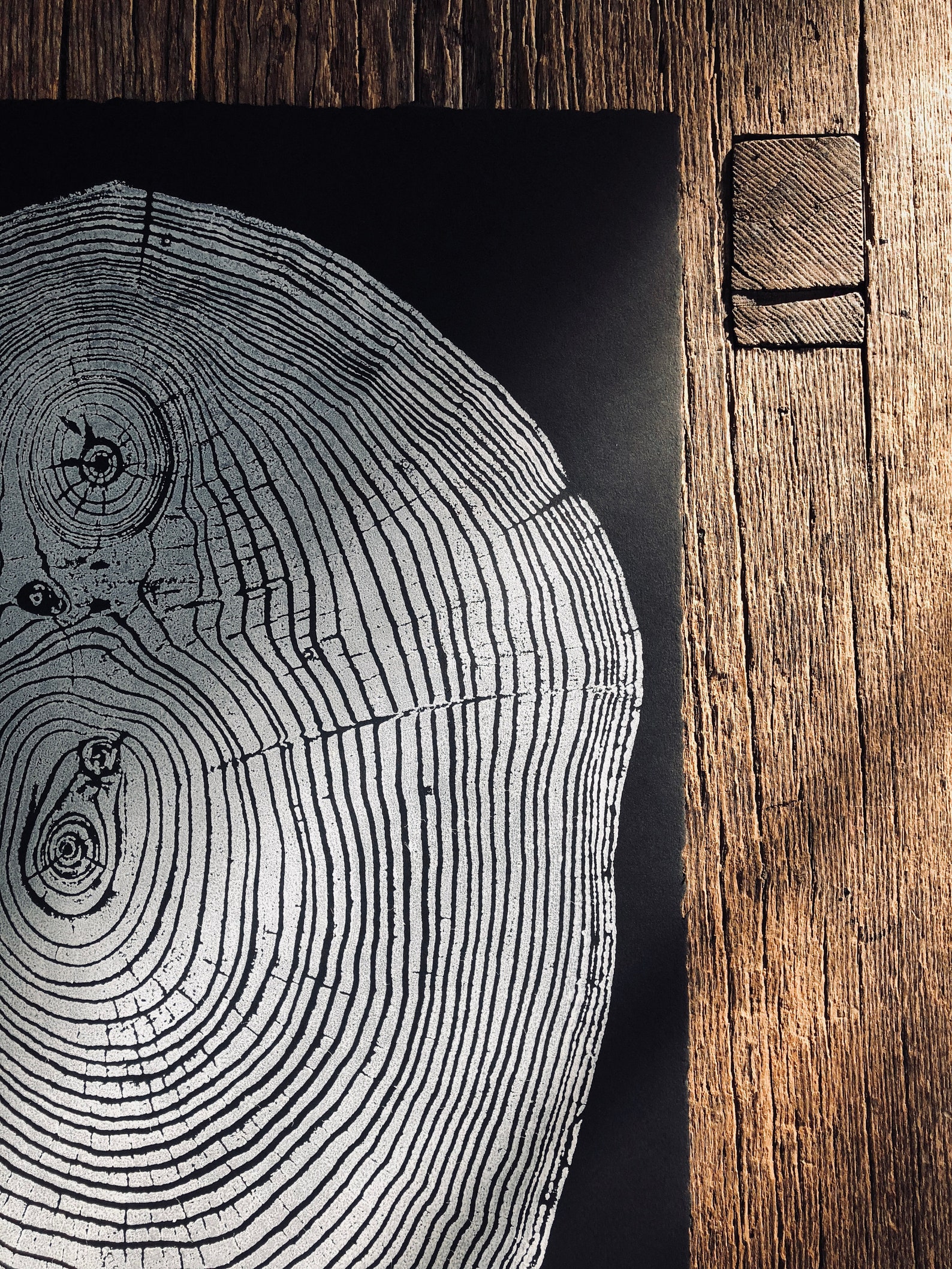 Mulberry Tree Ring Print Tree Ring Art Print Woodcut Real - Etsy