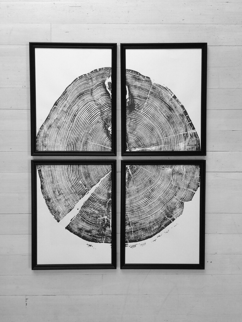 Sundance Canyon Utah Tree Ring Prints Set of 4 Prints - Etsy