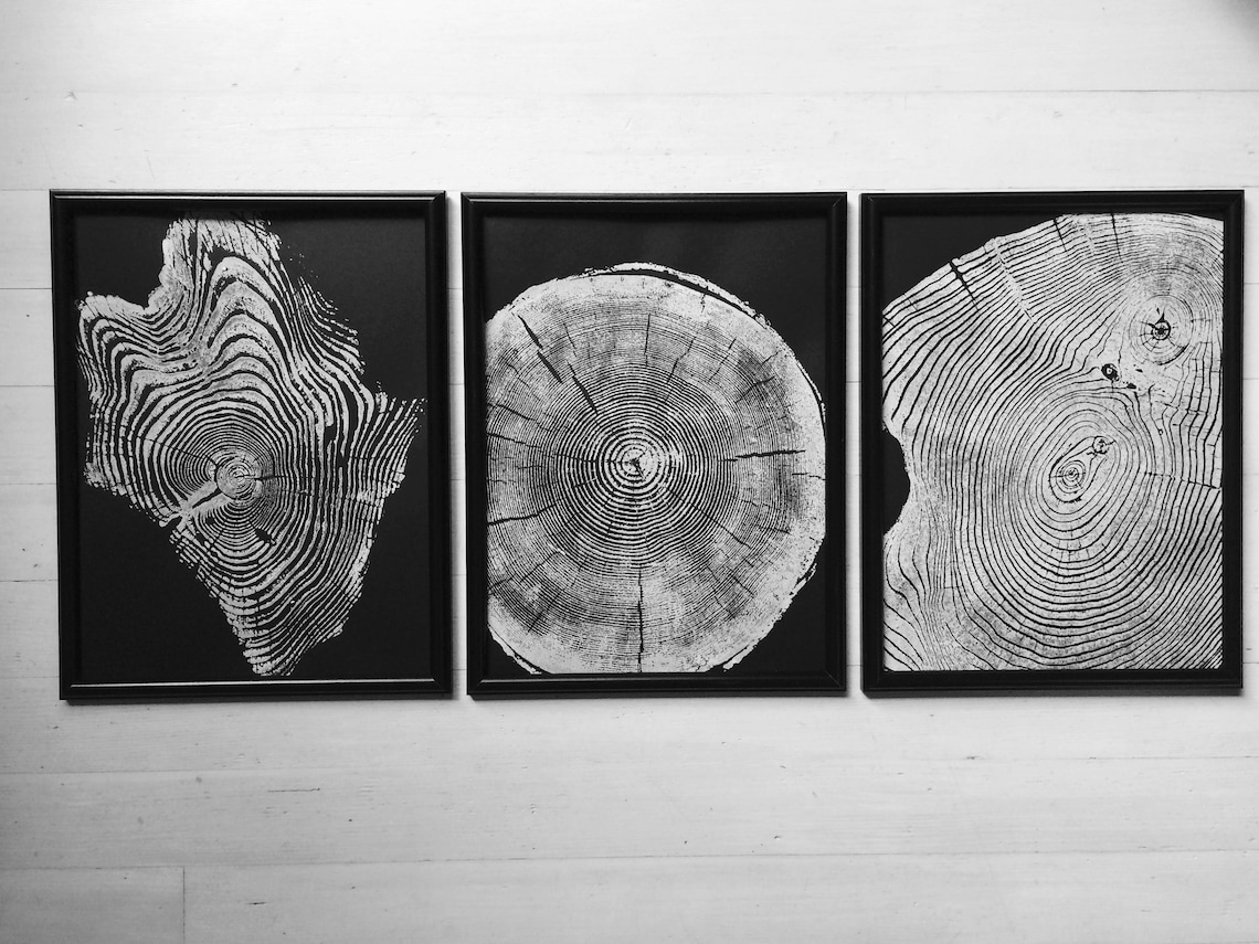 Black Paper Tree Ring Prints Tree Stump Art Tree Stump - Etsy