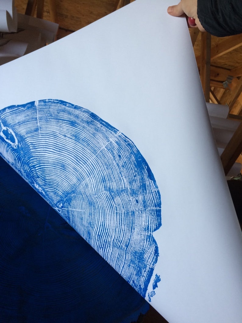 Sundance Canyon Art Large Tree Ring Art Print Fifth - Etsy