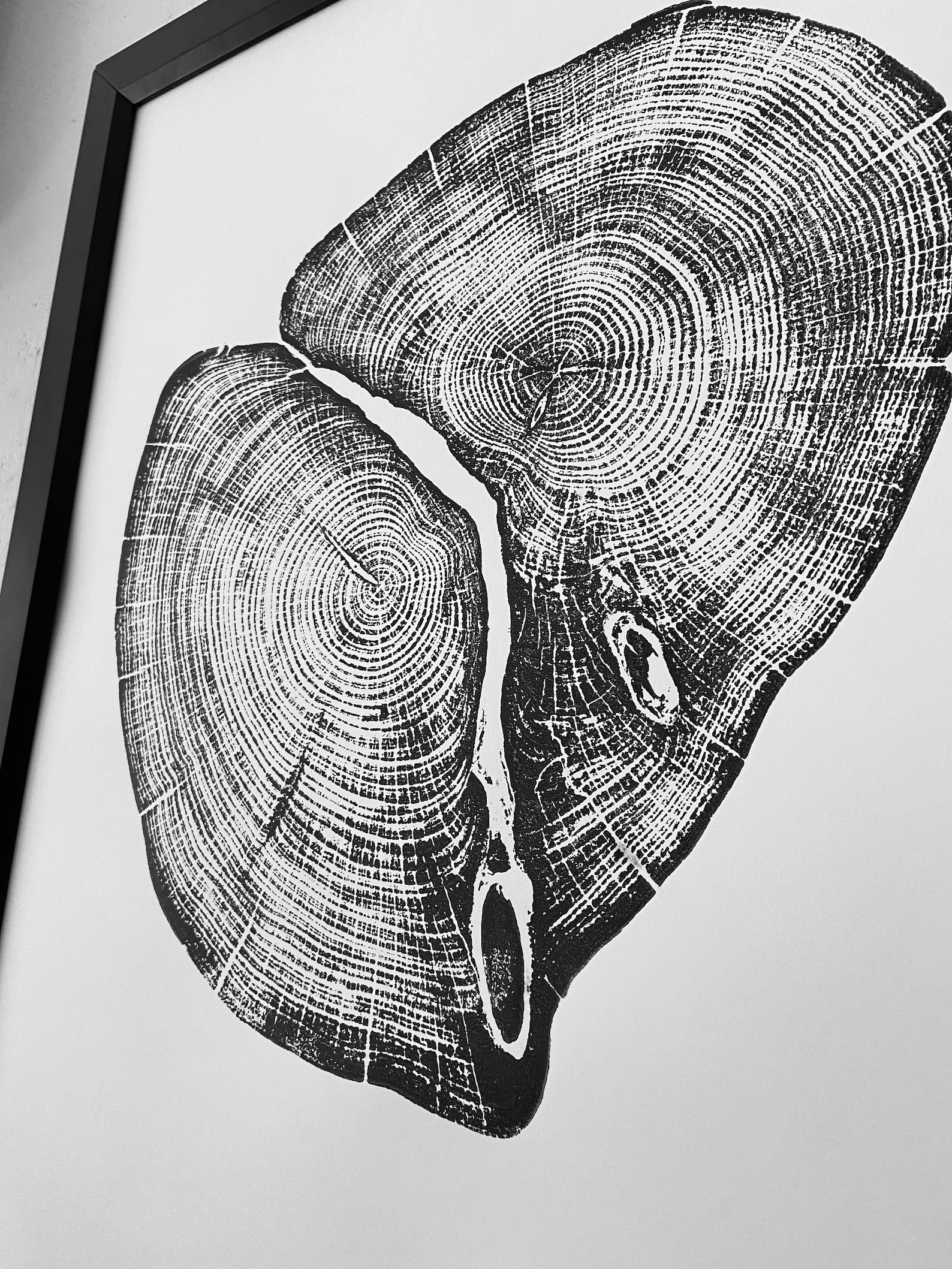 Waco Texas Cedar Tree Ring Print From Cedar Original - Etsy