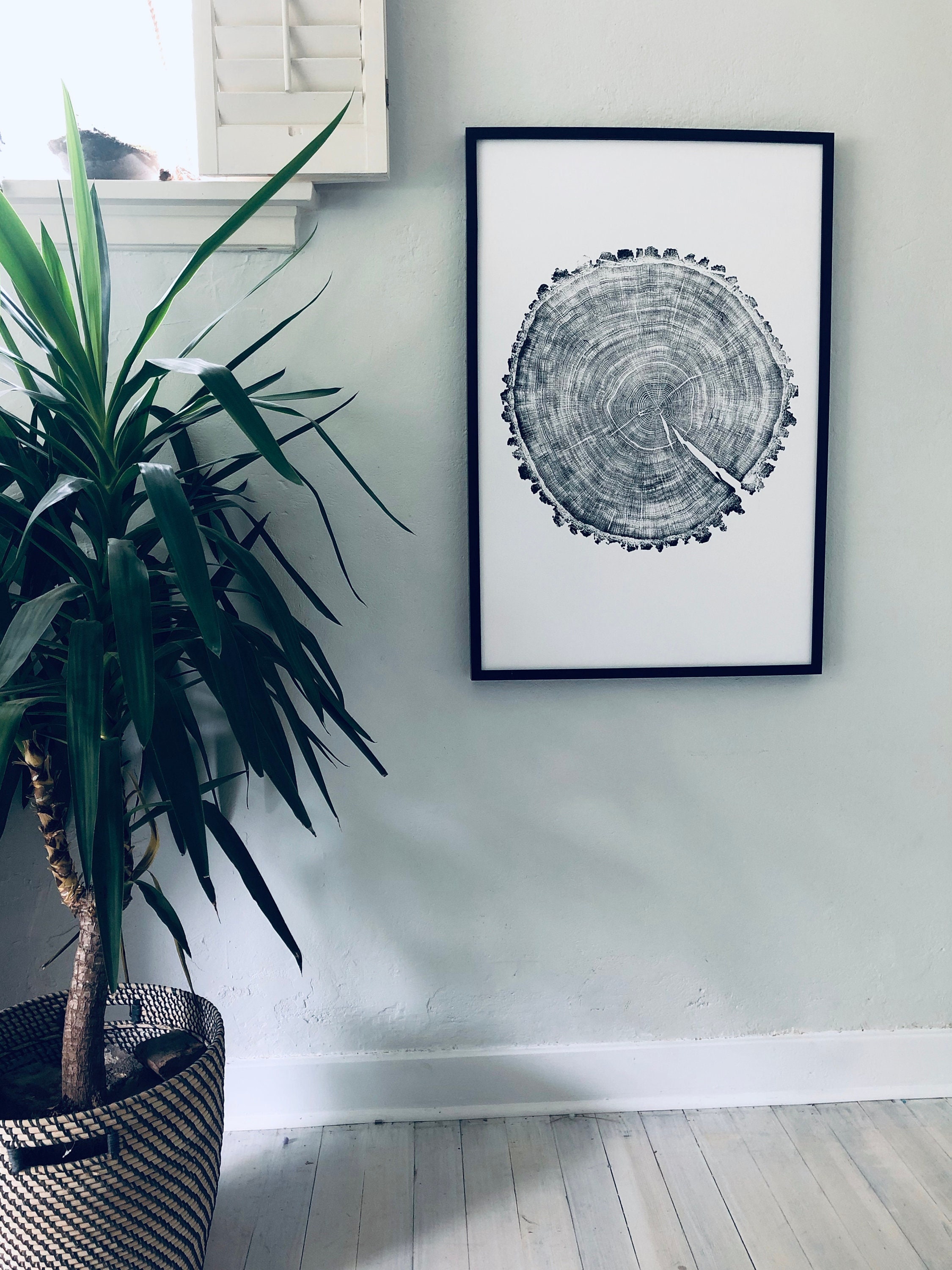 Oak Tree Ring Print From Minnesota Original Woodblock Print - Etsy