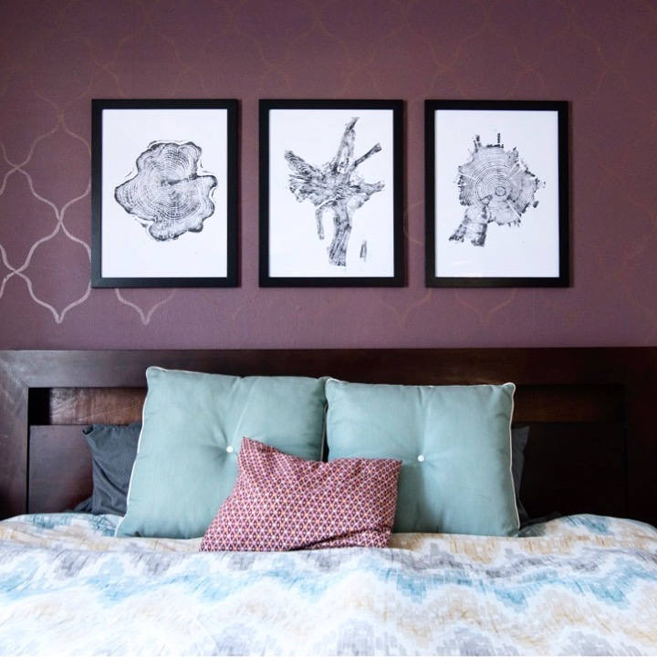 Alaskan Tree Ring Print Tongass Forest Cypress Tree Tree - Etsy