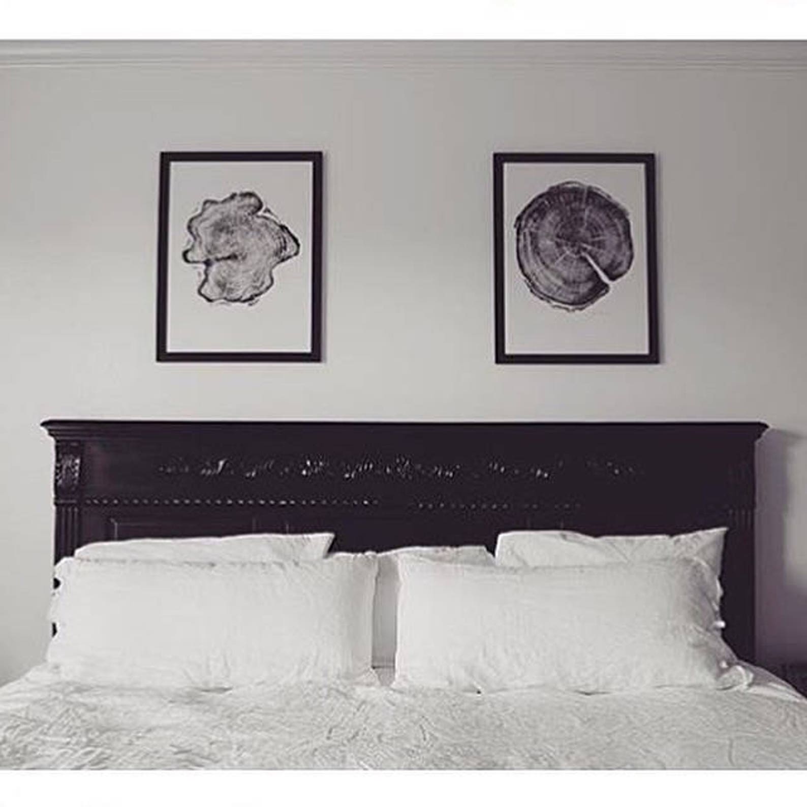 Alaskan Tree Ring Print Tongass Forest Cypress Tree Tree | Etsy