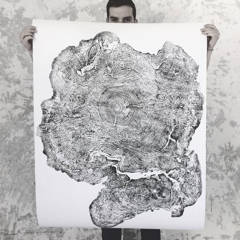 Maple Tree Art From Massachusetts Woodblock Print on 36x48 - Etsy