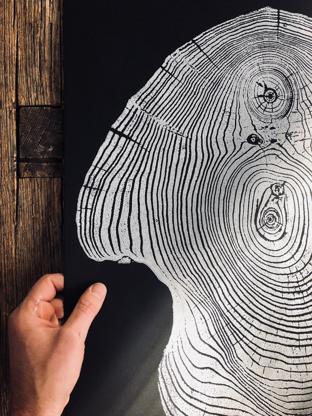 Mulberry Tree Ring Print, Tree Ring Art Print, Woodcut, Real Tree Rings ...