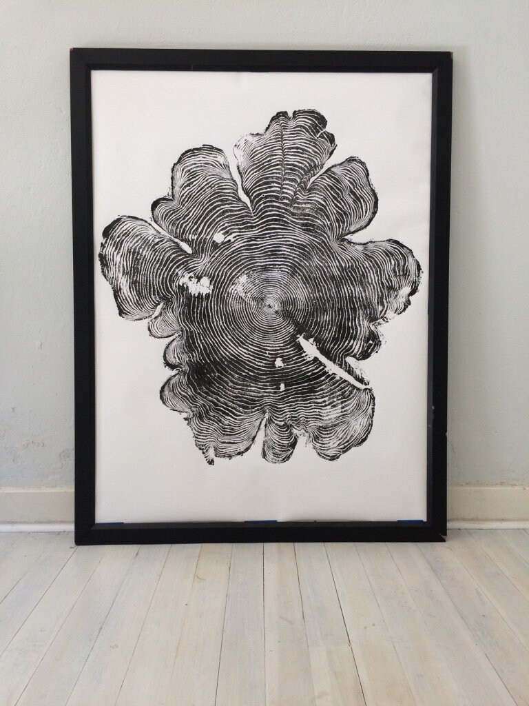 Western Red Cedar Tree Ring Art Huge Tree Ring Print | Etsy