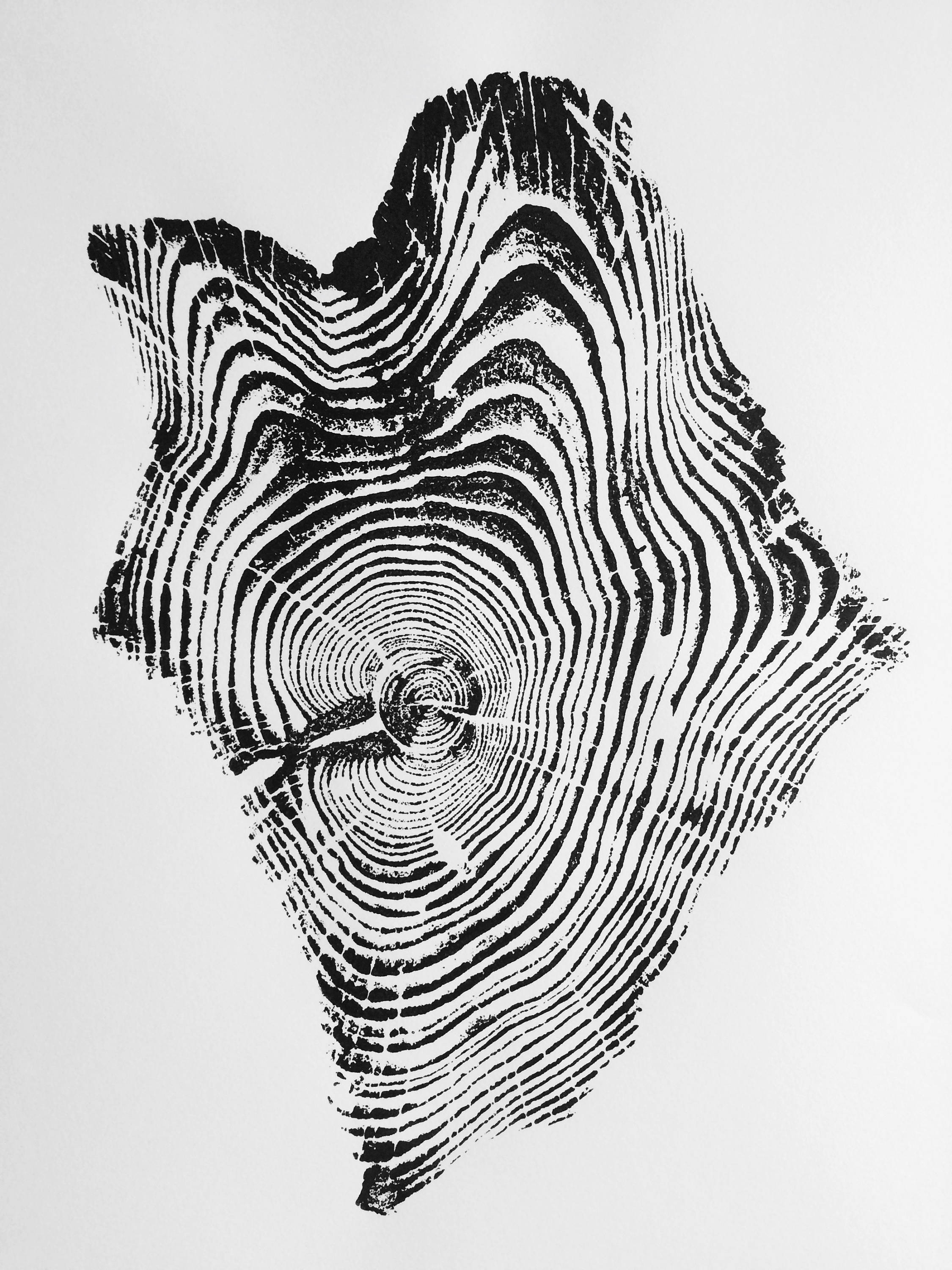 Yellowstone art print Tree Ring Art Real tree art | Etsy