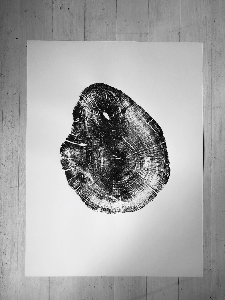Lake Superior print, Michigan Oak, From Lake Superior, Michigan Tree ...