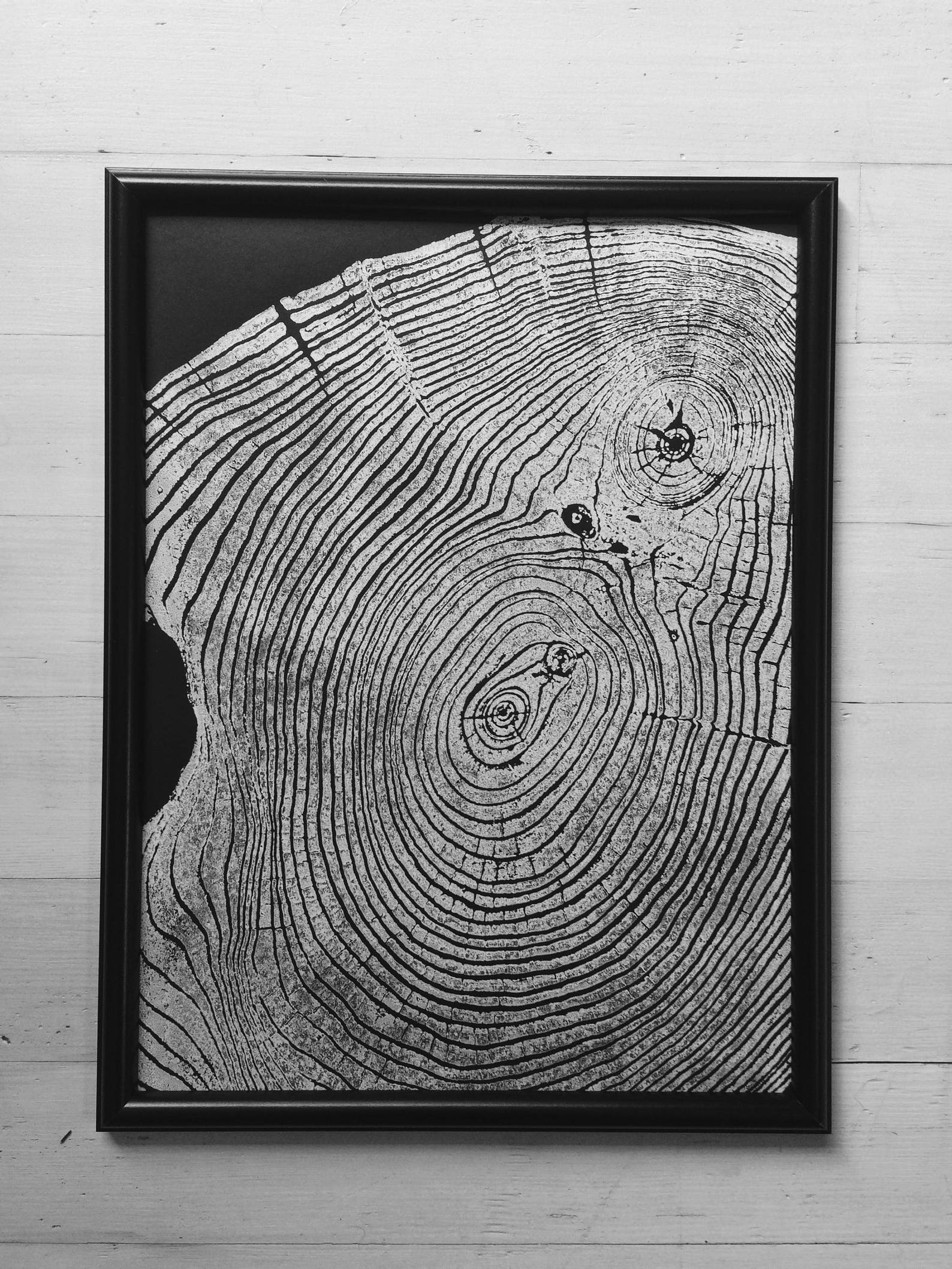 Black Paper Tree Ring Prints Tree Stump Art Tree Stump - Etsy