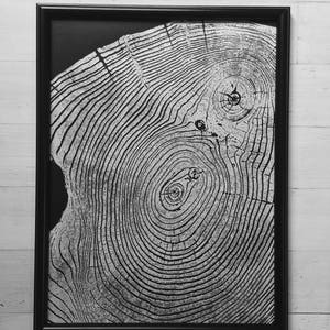Black Paper Tree Ring Prints, Tree Stump Art, Tree Stump Prints, Tree ...