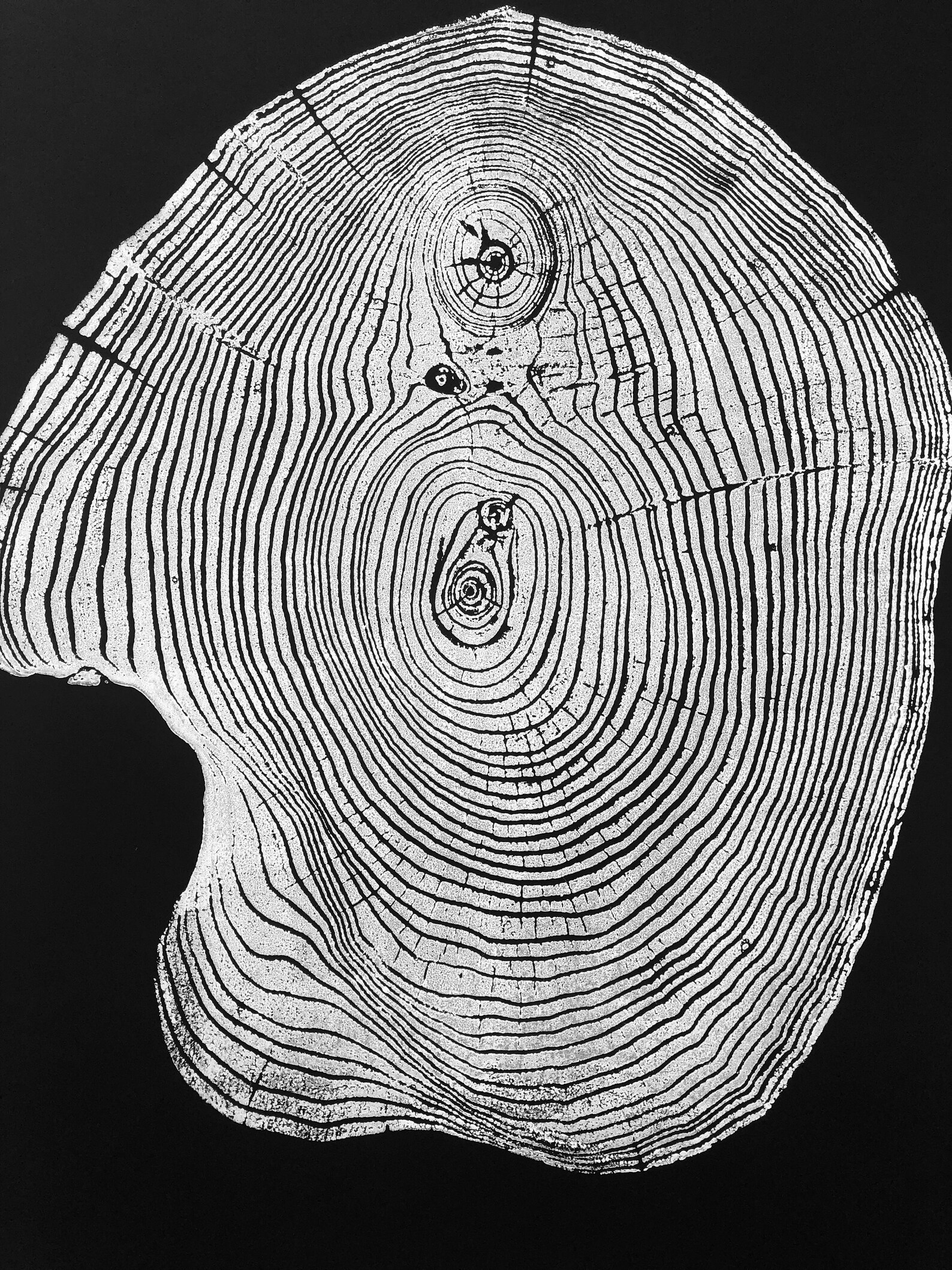 Mulberry Tree Ring Print Tree Ring Art Print Woodcut Real - Etsy