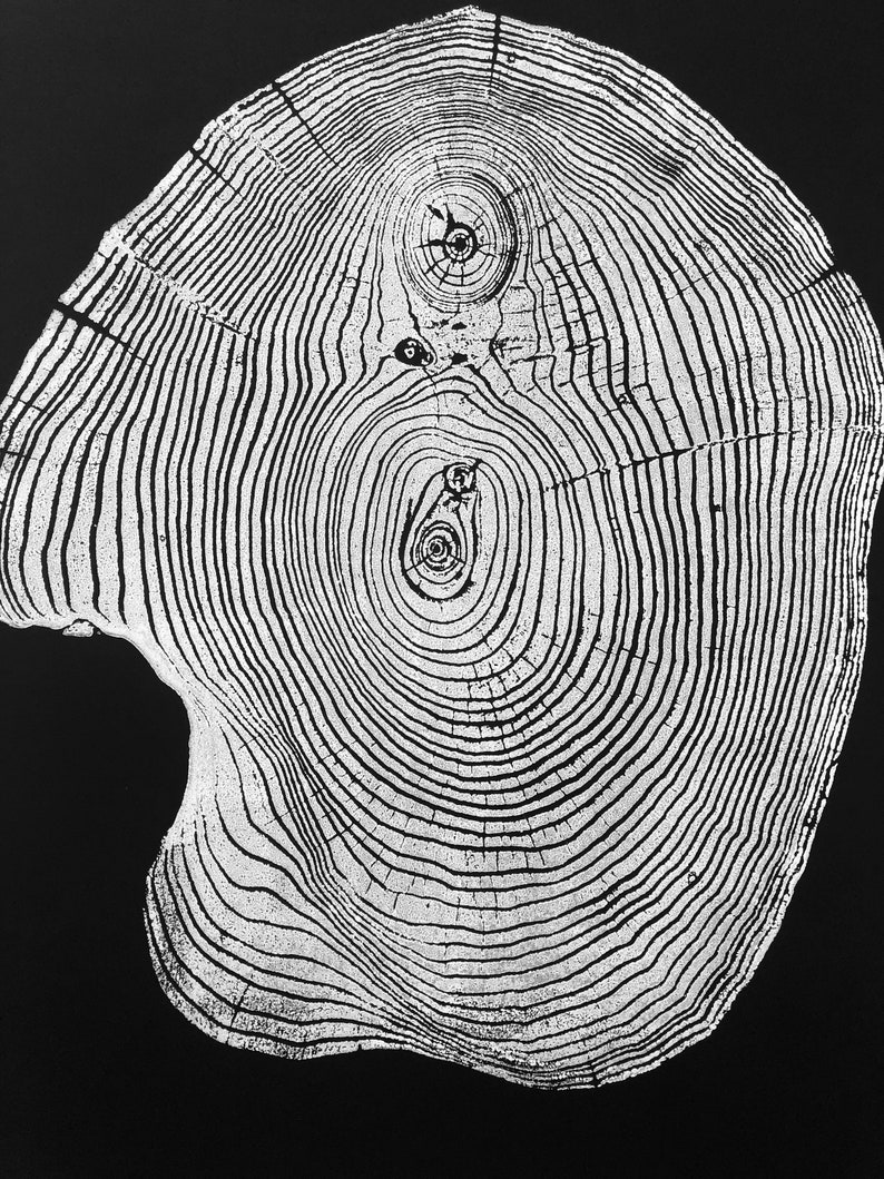 Mulberry Tree Ring Print Tree Ring Art Print Woodcut Real - Etsy