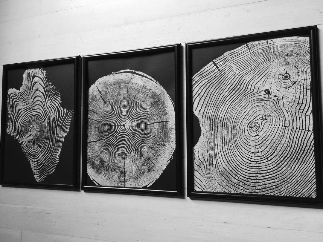 Black Tree Ring Print: Woodblock Triptych, 12x16 Art - Etsy