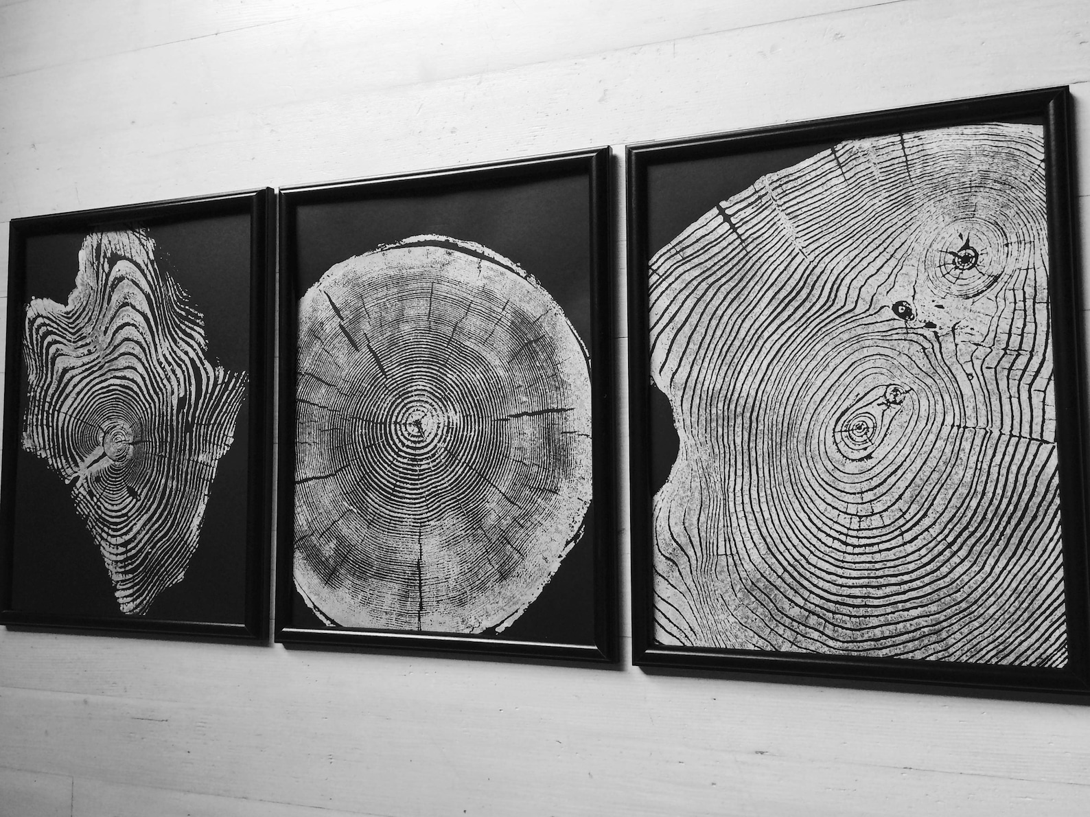 Black Paper Tree Ring Prints Tree Stump Art Tree Stump - Etsy