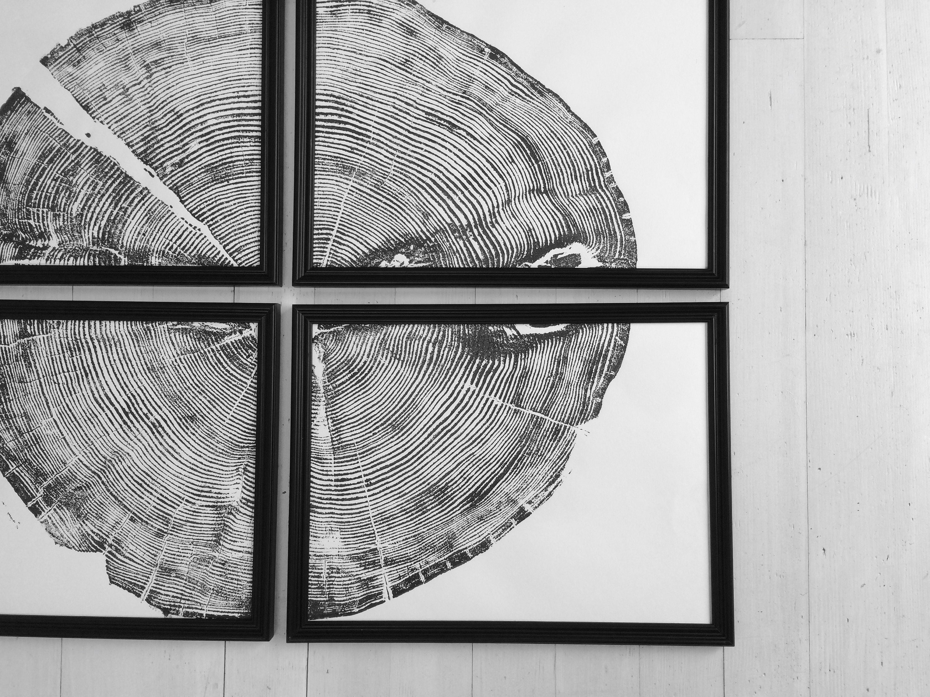 Sundance Canyon Utah Tree Ring Prints Set of 4 Prints - Etsy