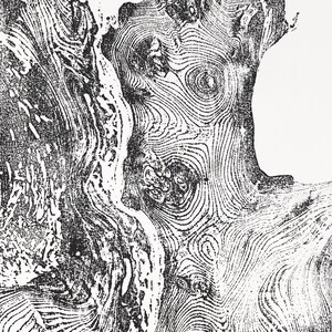 Redwood Wall Art, Original Woodblock, Redwood Burl, California Redwood ...