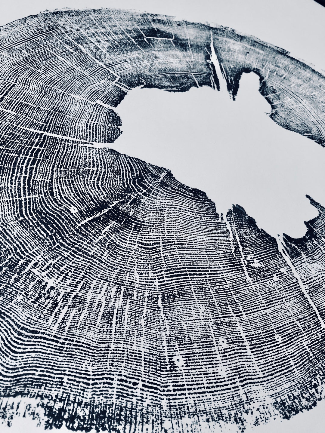 Iowa Oak Tree Ring Print. Original Woodcut Print Made From an Oak Tree ...
