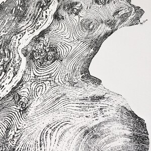 Redwood Wall Art, Original Woodblock, Redwood Burl, California Redwood ...