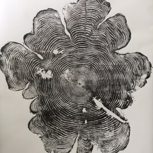Western Red Cedar Tree Ring Art, Huge Tree Ring Print, Woodcut, Oregon ...