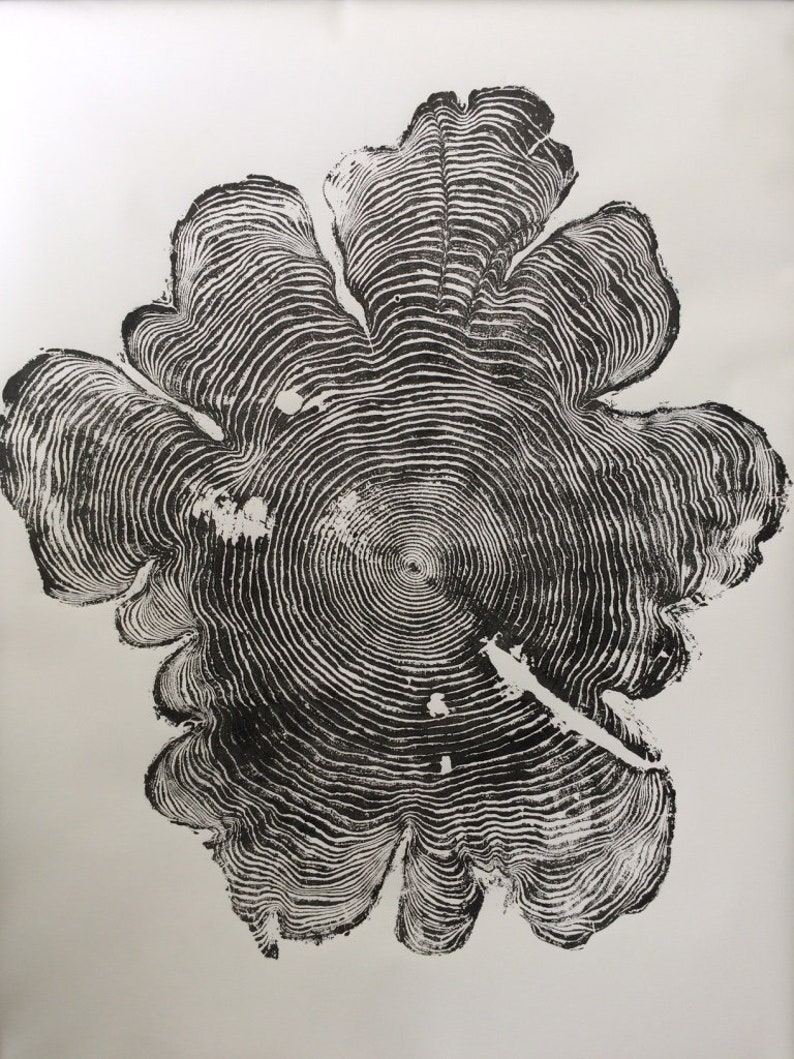 Western Red Cedar Tree Ring Art Huge Tree Ring Print | Etsy