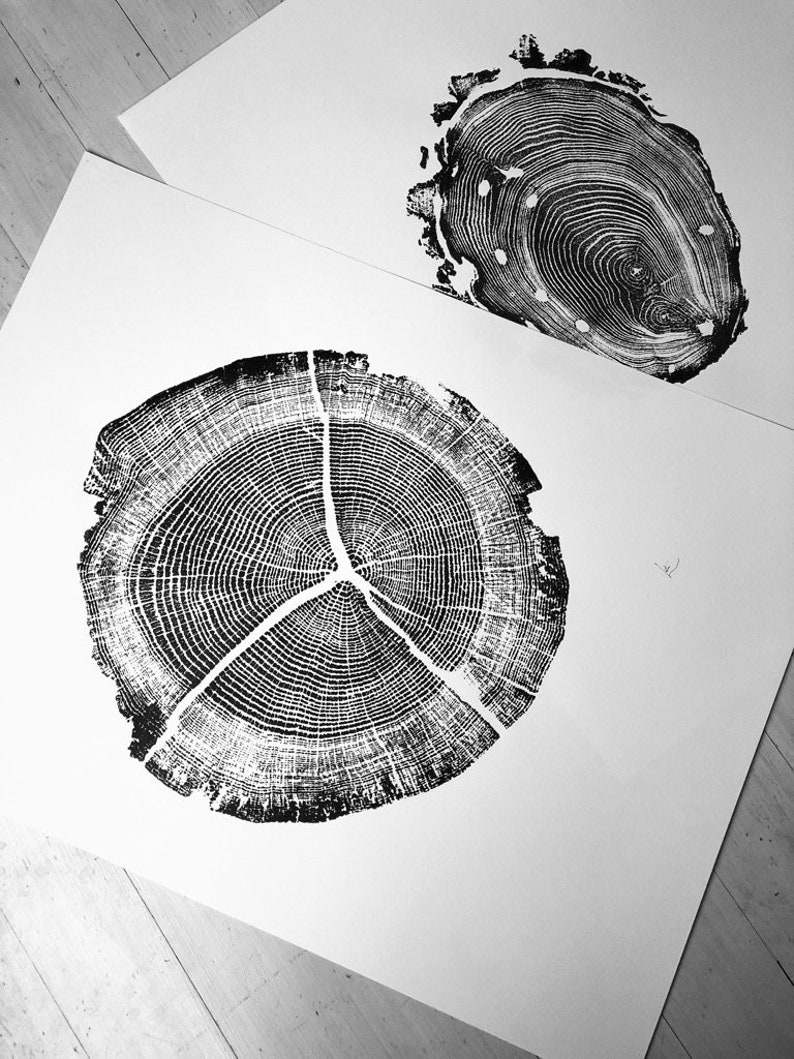 Walden Pond Oak Tree Print Tree Ring Print From Walden - Etsy