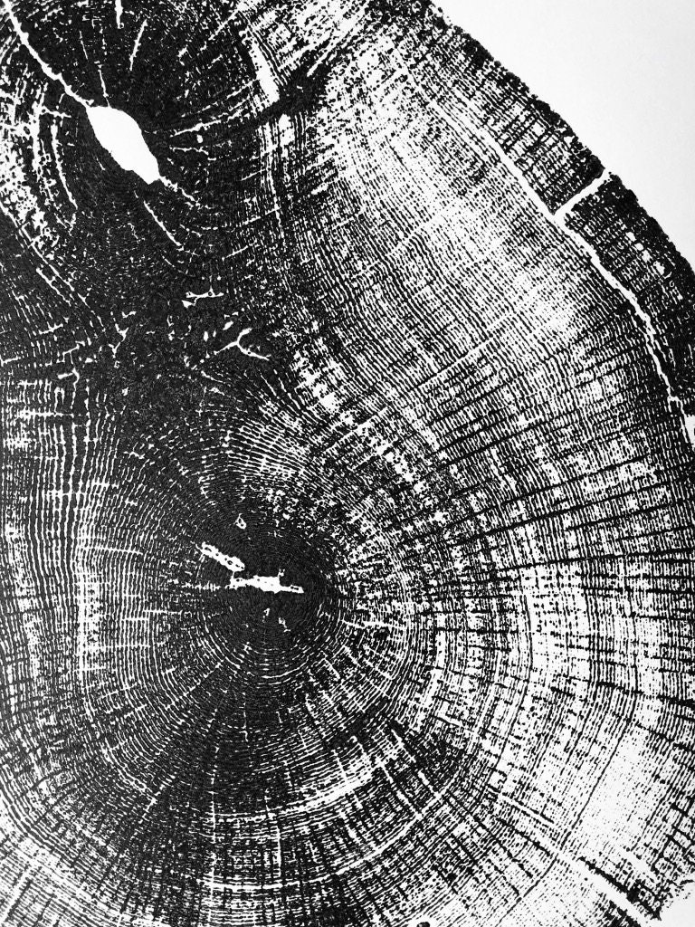 Lake Superior print, Michigan Oak, From Lake Superior, Michigan Tree ...