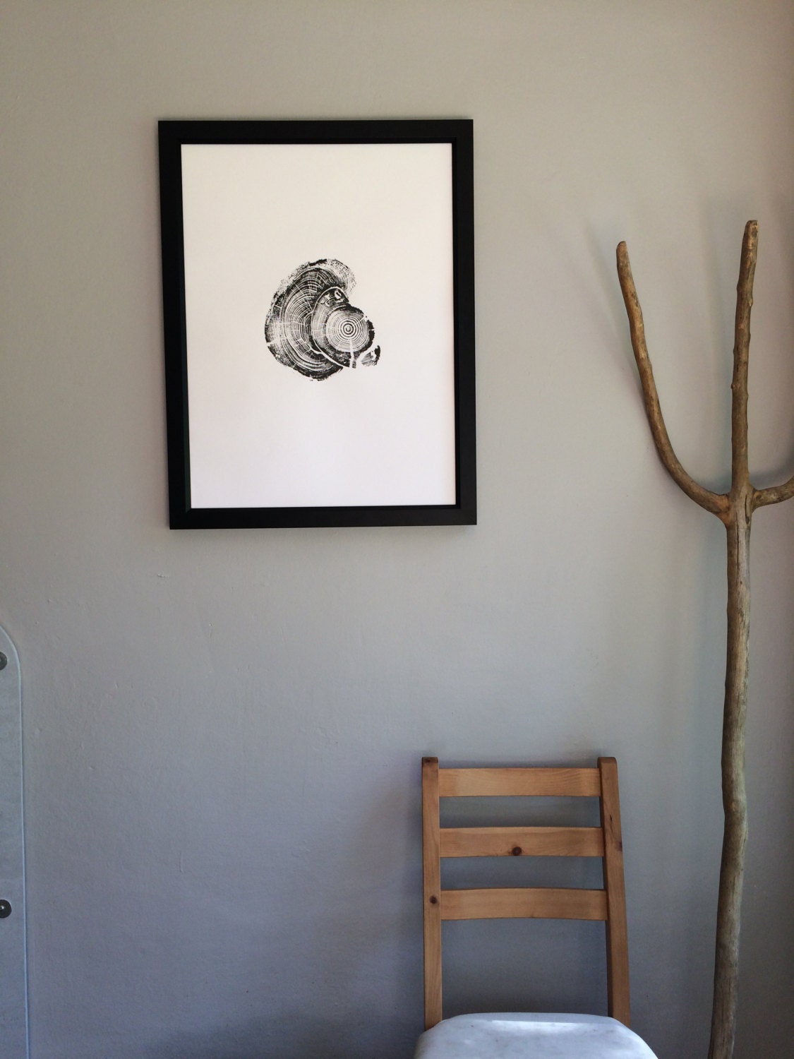 Tree Cookie Art Tree Ring Print Millcreek Canyon Utah Pine - Etsy