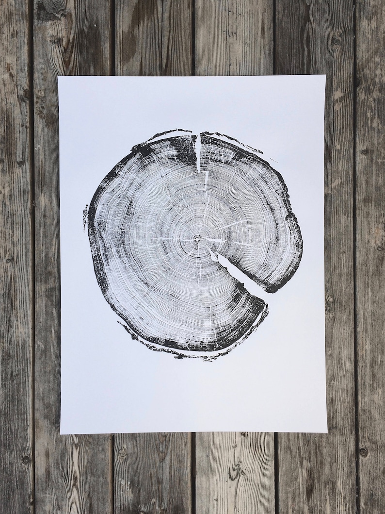 Log Print From Uinta Mountains in Utah 183 Year Old Tree - Etsy
