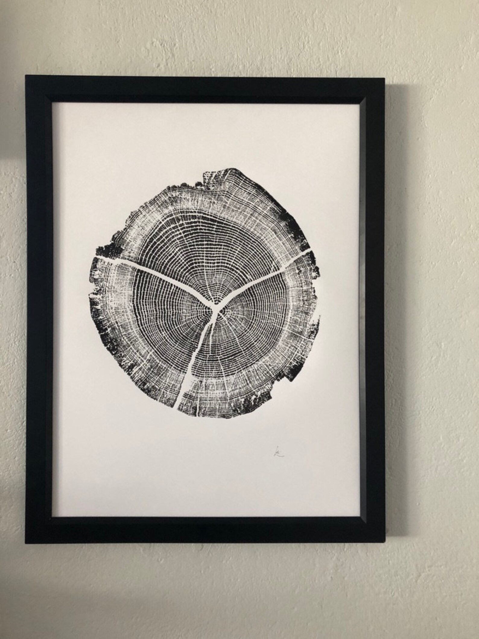 Walden Pond Oak Tree Print Tree Ring Print From Walden - Etsy