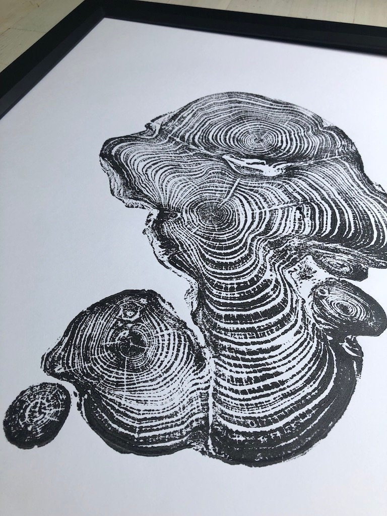 Cypress Tree Print From Ireland Tree Ring Art Print Tree - Etsy