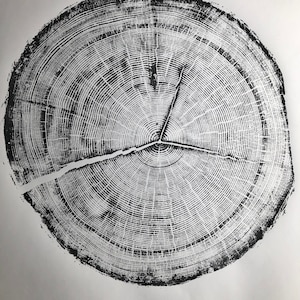 Snowbird Resort, Tree Ring Print, Personalized Art, Artisan Signed ...