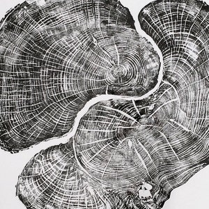 Real Maple Tree Ring Art Print, Oversized Wall Art, Handmade Woodblock, Real Tree Ring Art, Real ...