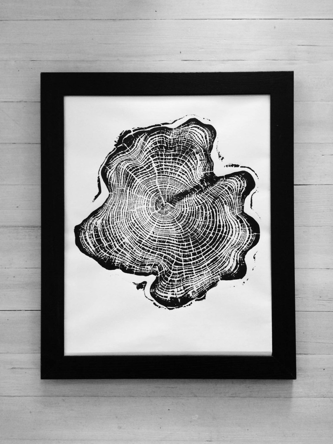 Alaskan Tree Ring Print, Tongass Forest, Cypress Tree, Tree Ring Art ...