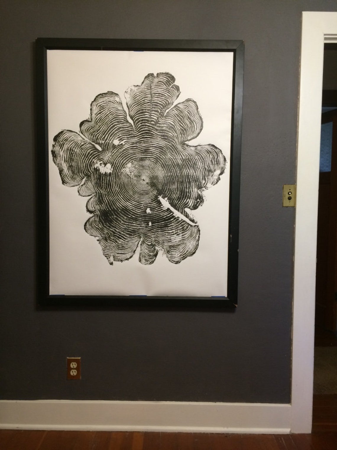 Western Red Cedar Tree Ring Art Huge Tree Ring Print | Etsy