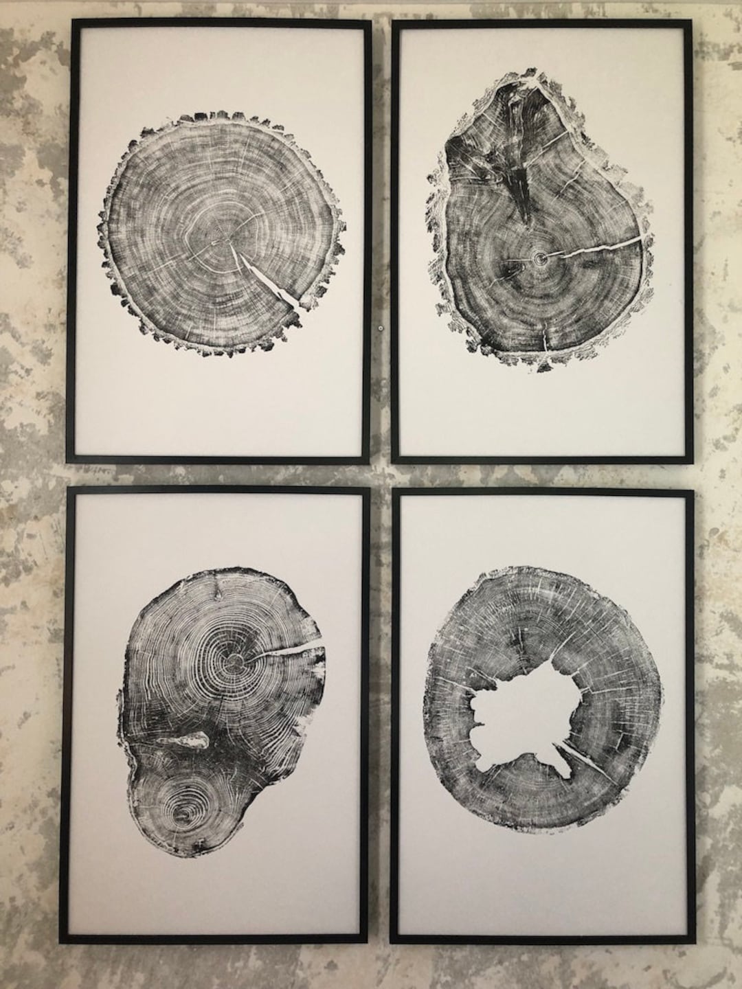 Set of Four Tree Stump Art Prints, Large 24x36 Inch Tree Ring Prints ...