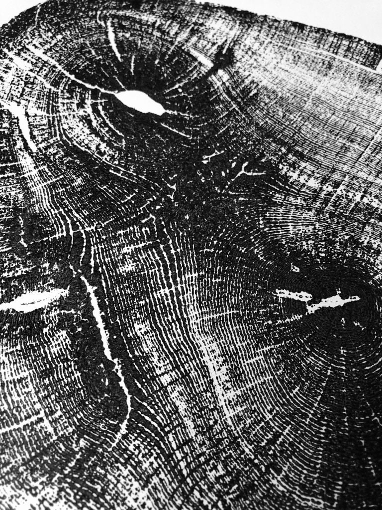 Lake Superior print, Michigan Oak, From Lake Superior, Michigan Tree ...