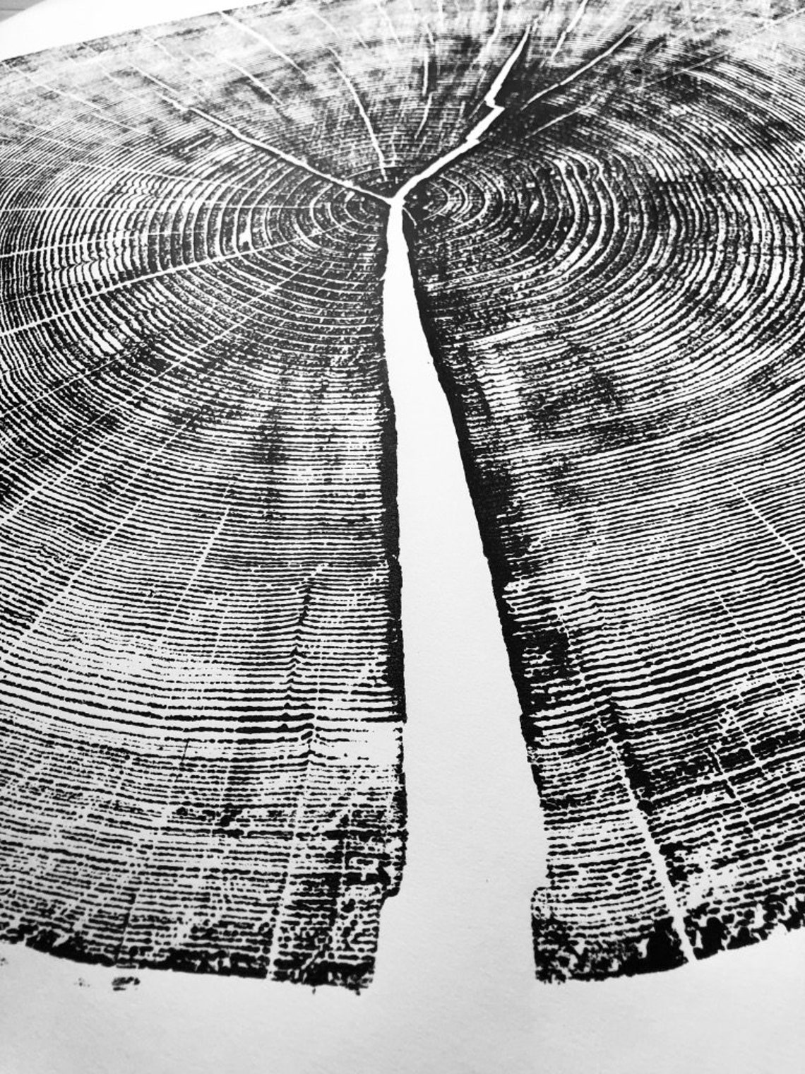 Yosemite National Park Print Tree Ring Art Tree Ring Print - Etsy