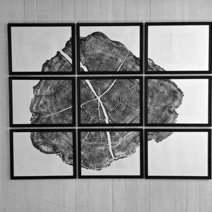 Set of 9 Long Prints, Handmade, Log Rings, Tree Ring Art, Locust Tree ...
