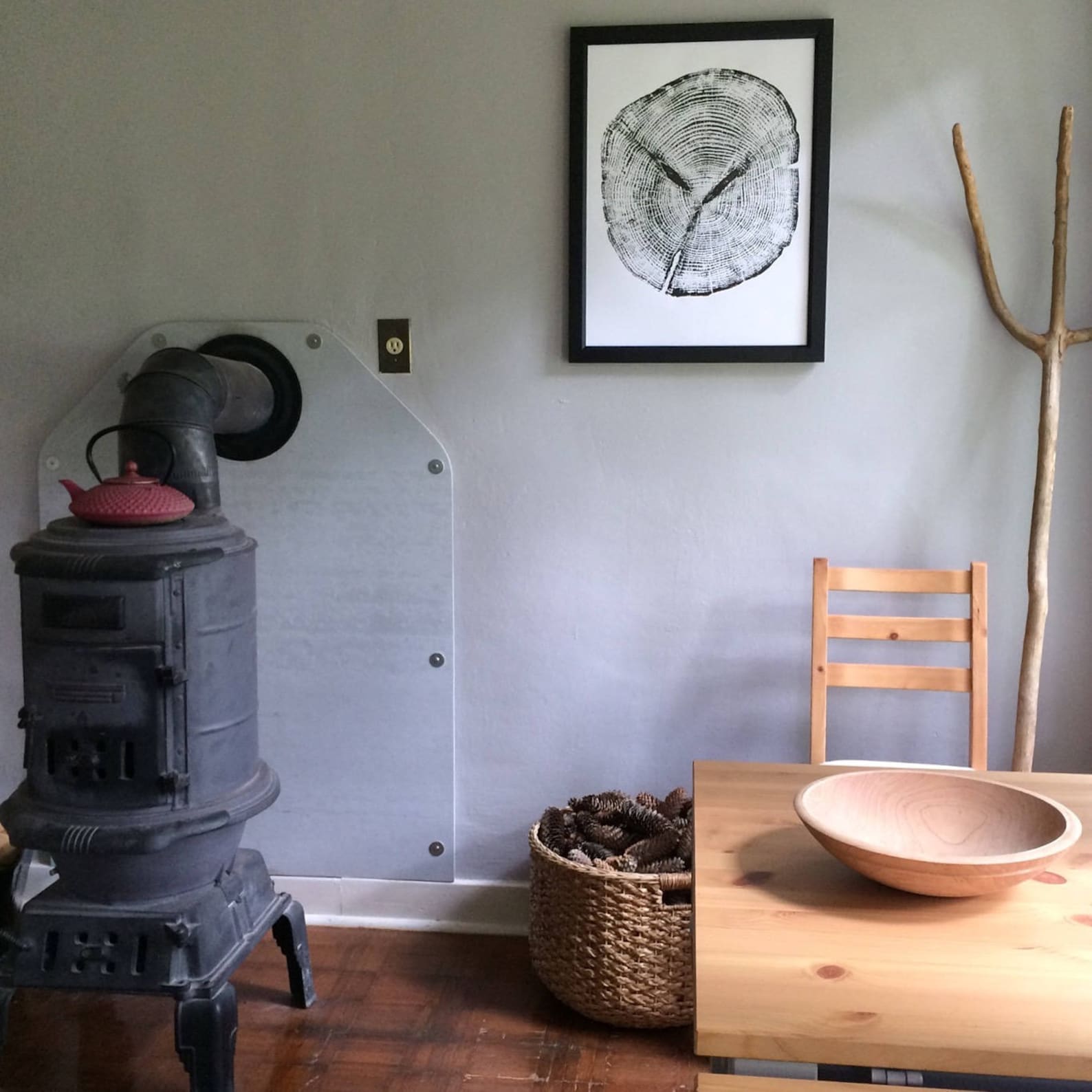 Alaskan Spruce Tree Ring Print Tree Stump Print Stump Art - Etsy