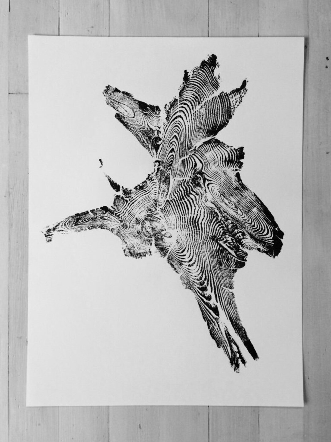 Idaho Tree Print Tree Ring Print Made From Tree Roots. Hand - Etsy