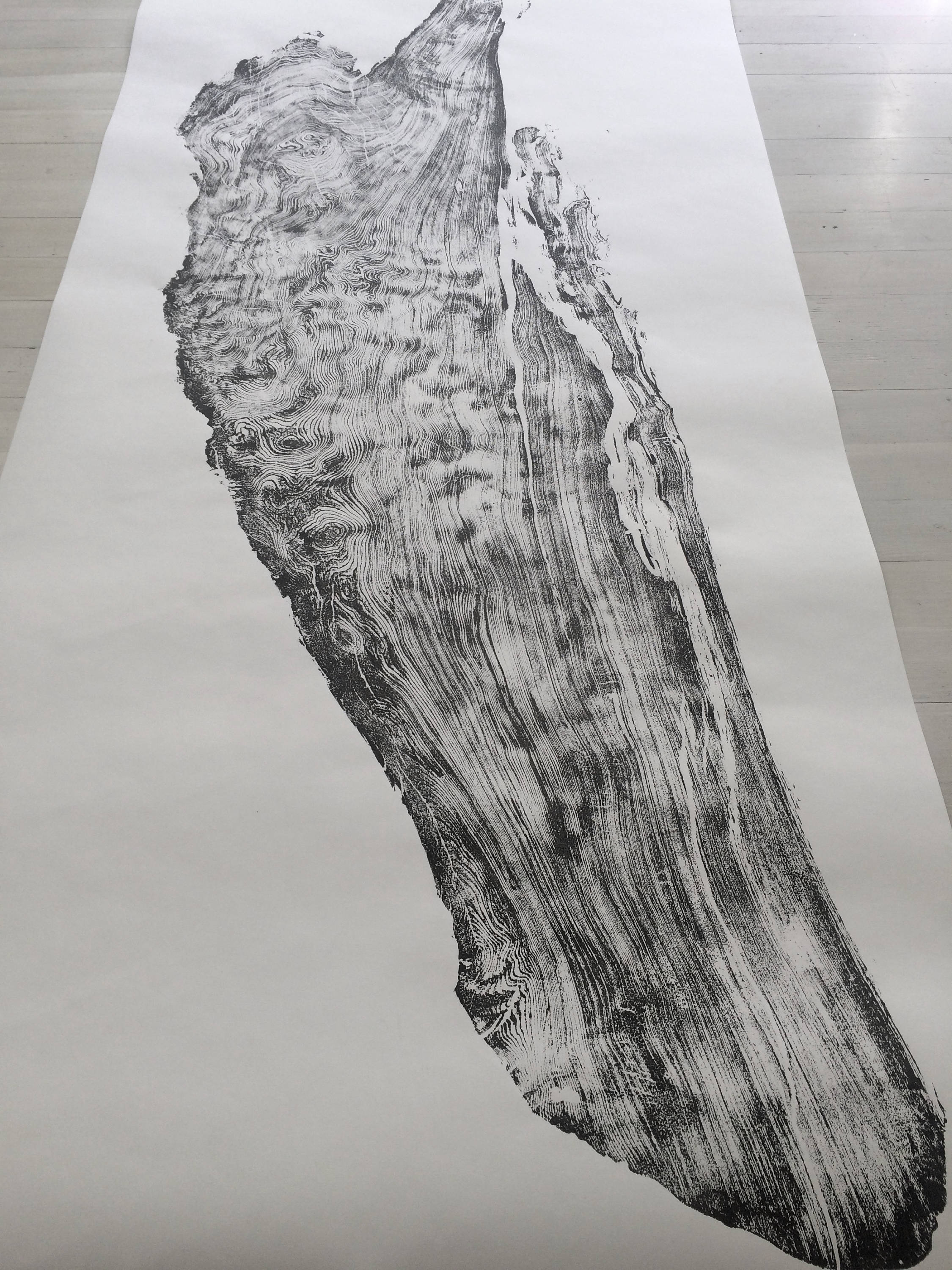 Giant Redwood Art Print Coastal redwood art Redwood Tree | Etsy