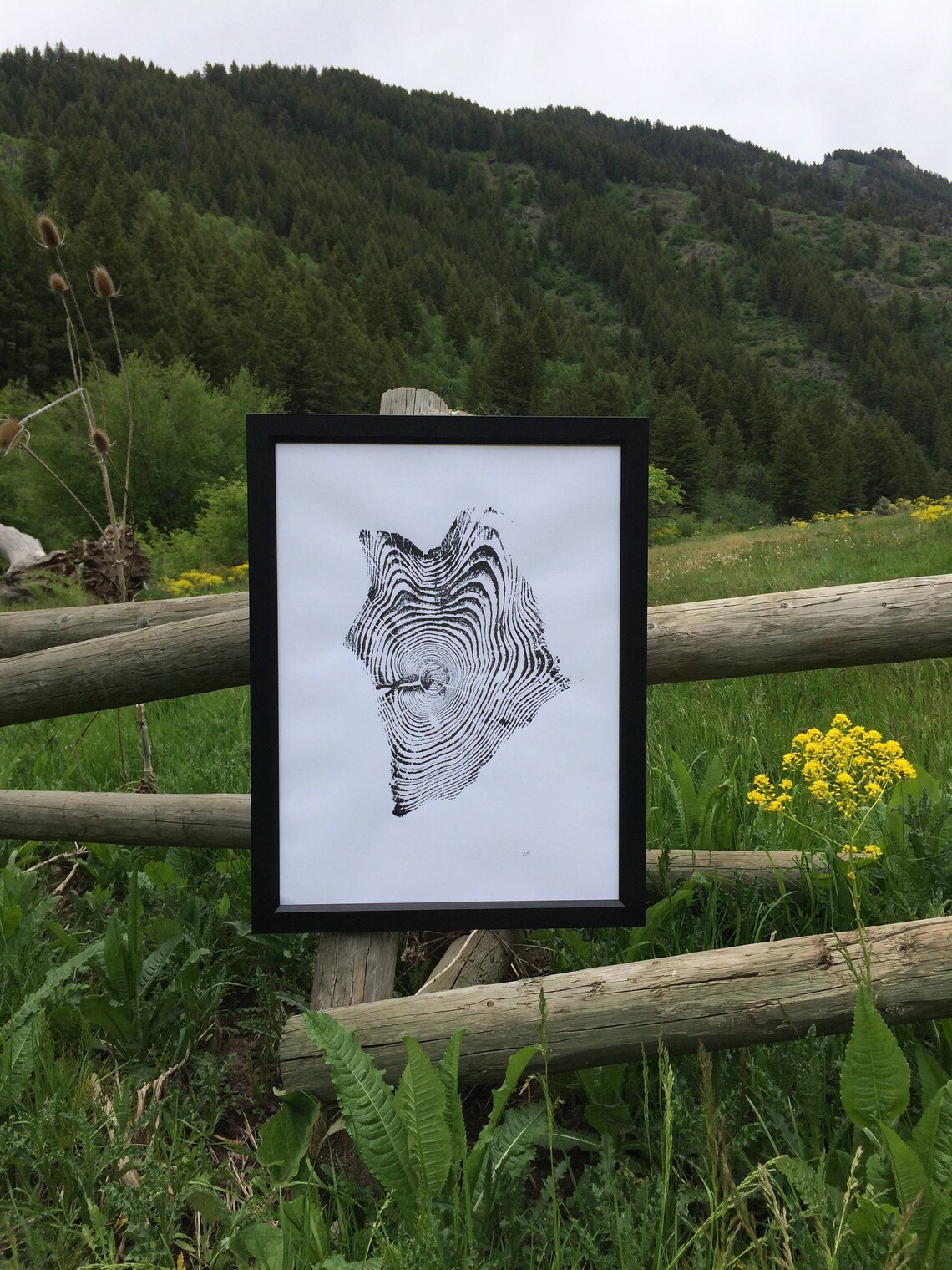 Yellowstone Art Print Tree Ring Art Real Tree Art | Etsy