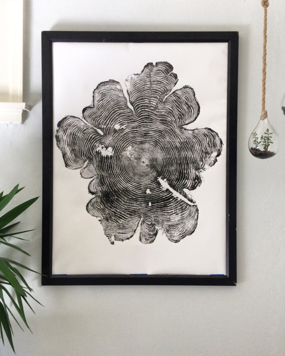 Western Red Cedar Tree Ring Art Huge Tree Ring Print | Etsy