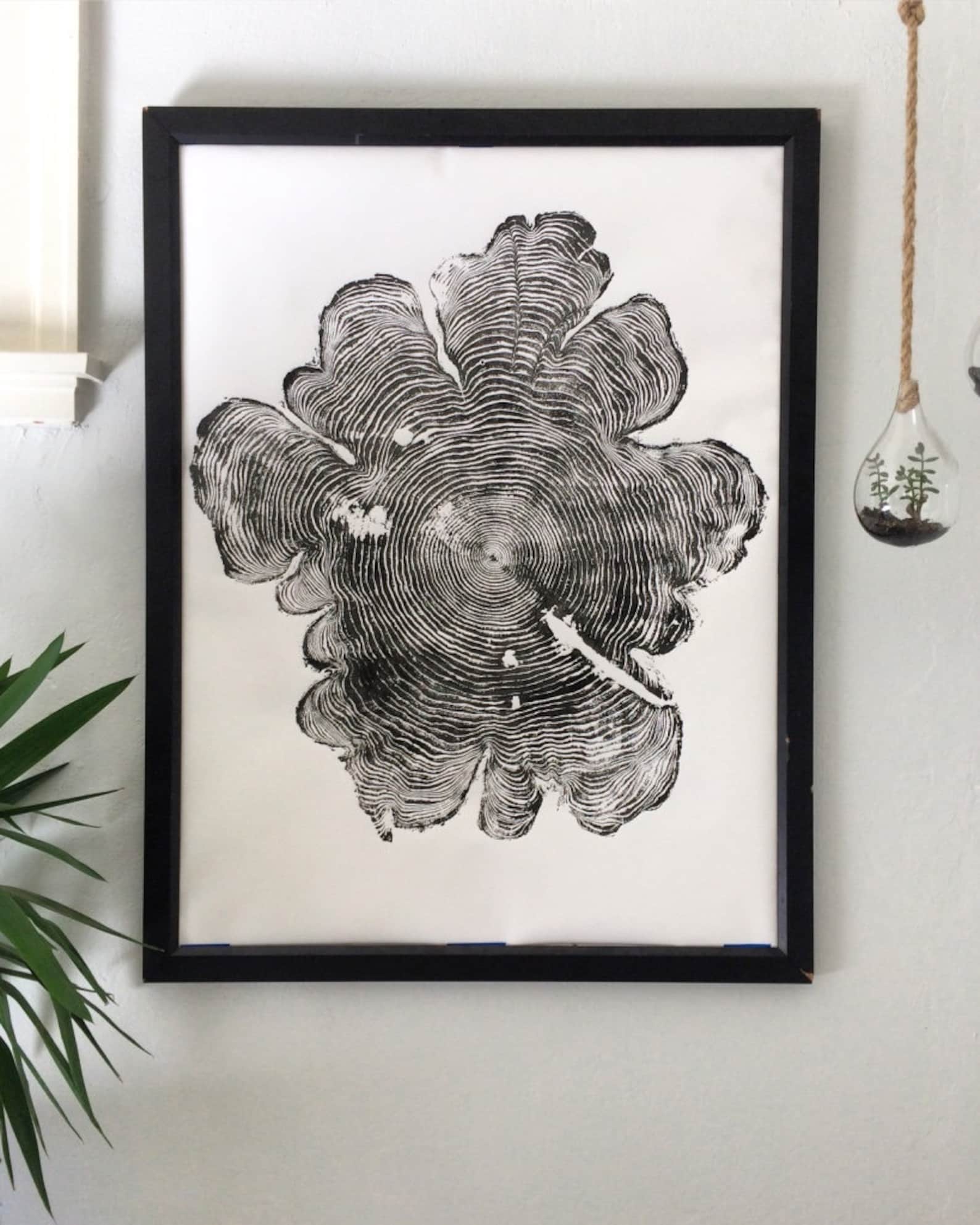 Western Red Cedar Tree Ring Art Huge Tree Ring Print | Etsy