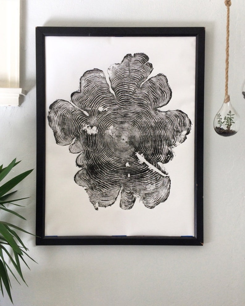 Western Red Cedar Tree Ring Art Huge Tree Ring Print | Etsy