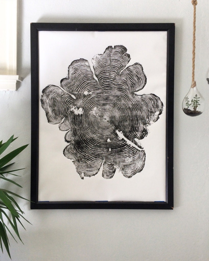 Western Red Cedar Tree Ring Art Huge Tree Ring Print | Etsy