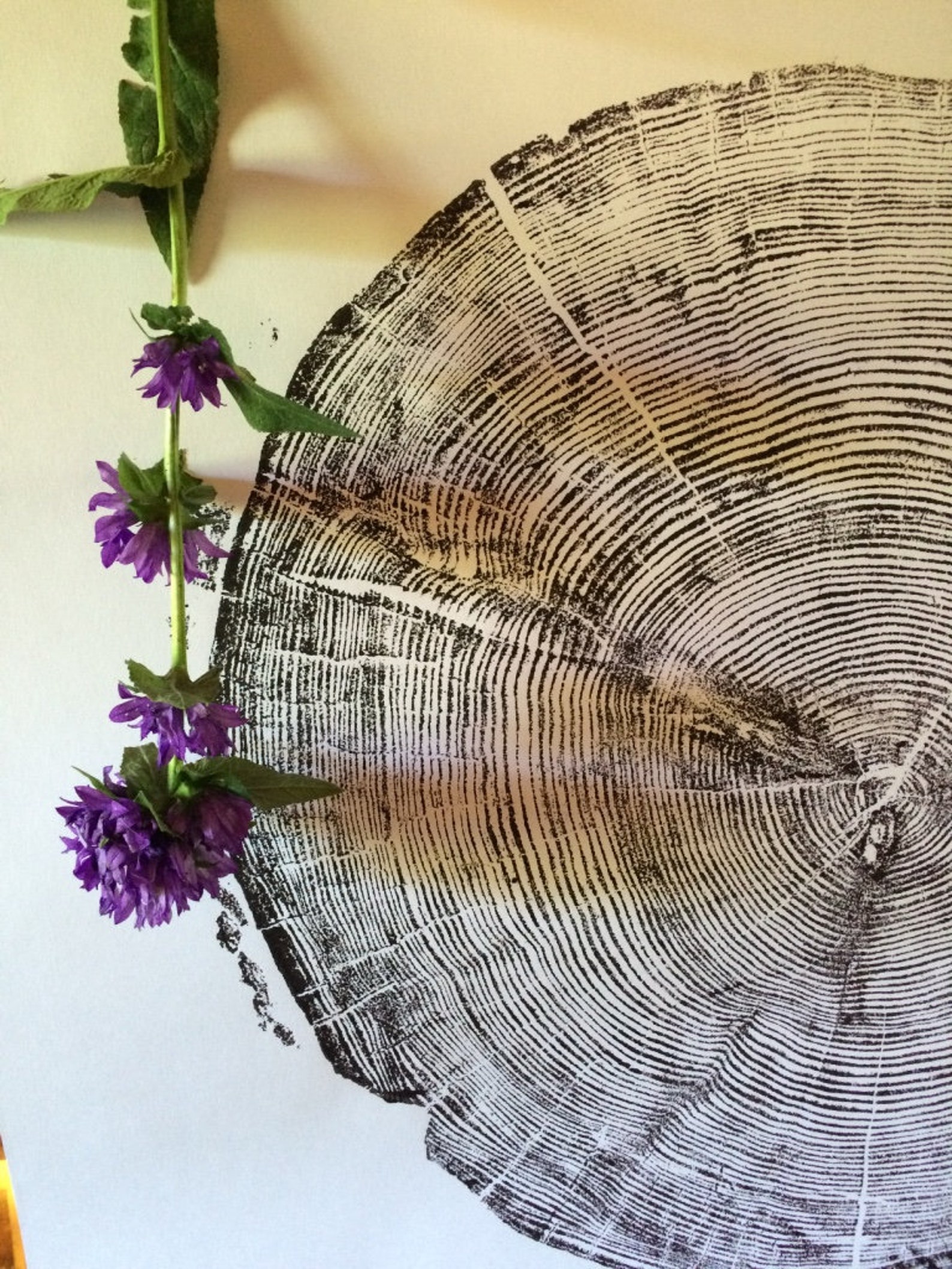 Sundance Canyon Art Large Tree Ring Art Print Fifth - Etsy