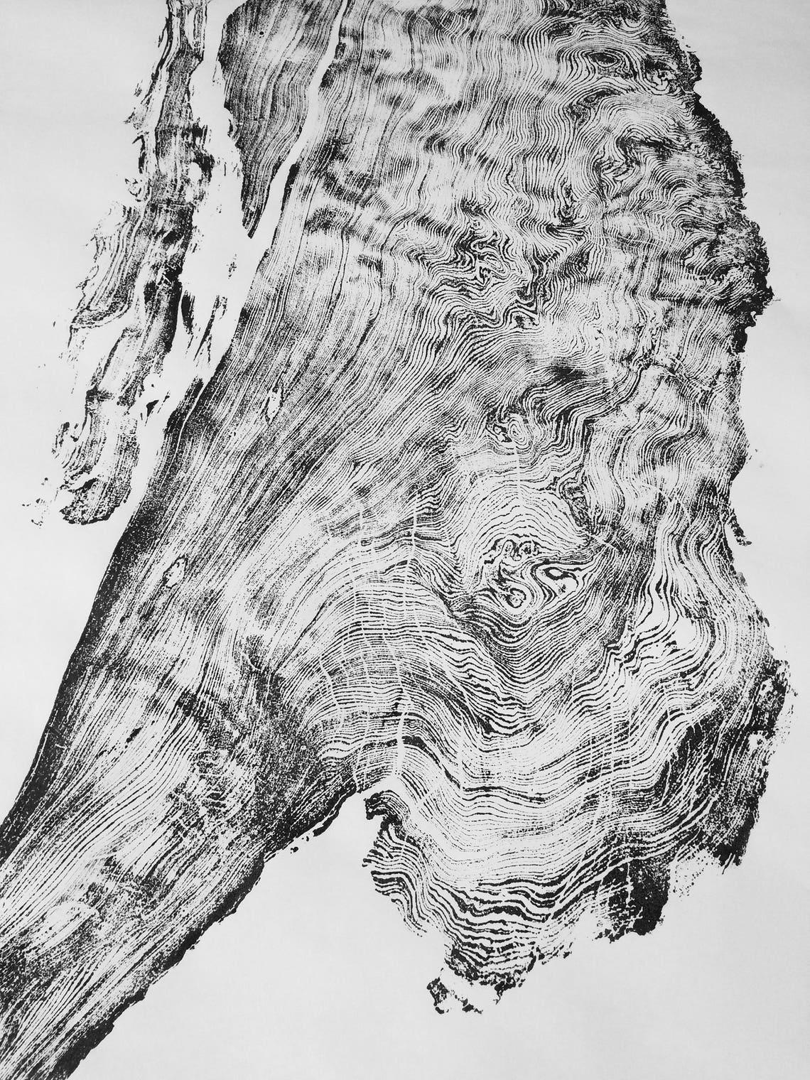 Giant Redwood Art Print Coastal redwood art Redwood Tree | Etsy