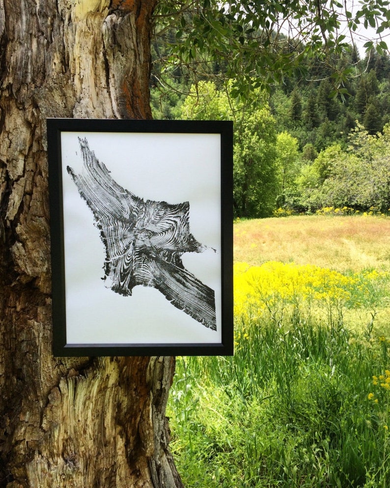 Yellowstone Tree Roots Tree Ring Print Tree Roots Wall Art - Etsy